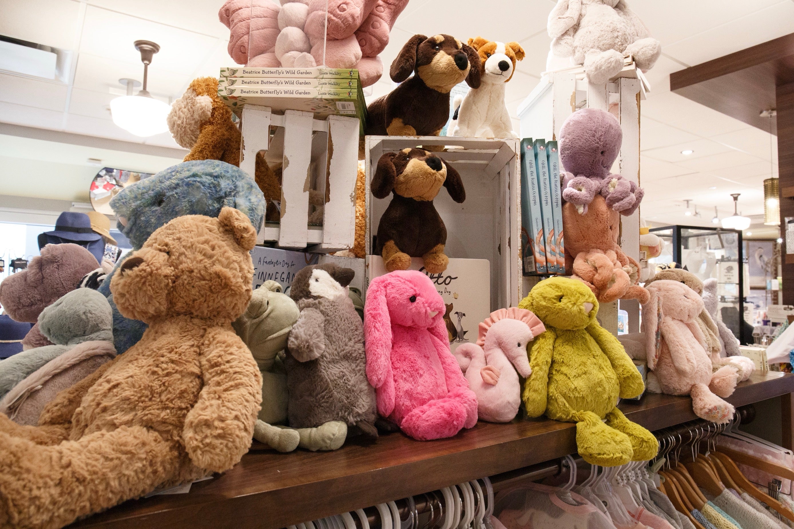 Plush Stuffies – Victoria's Gift Shop @ RVH
